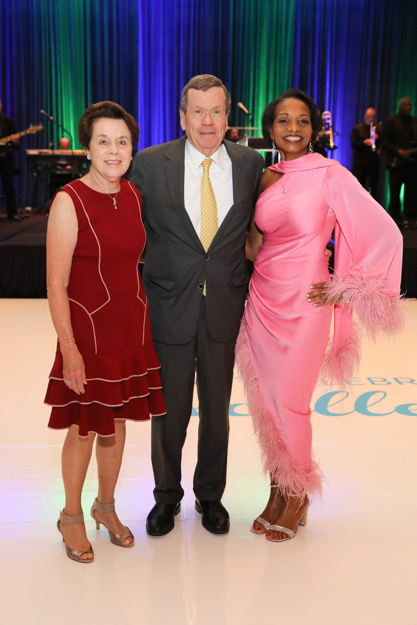 A Night Celebrating Excellence! The Collaborative for Children 35th ...