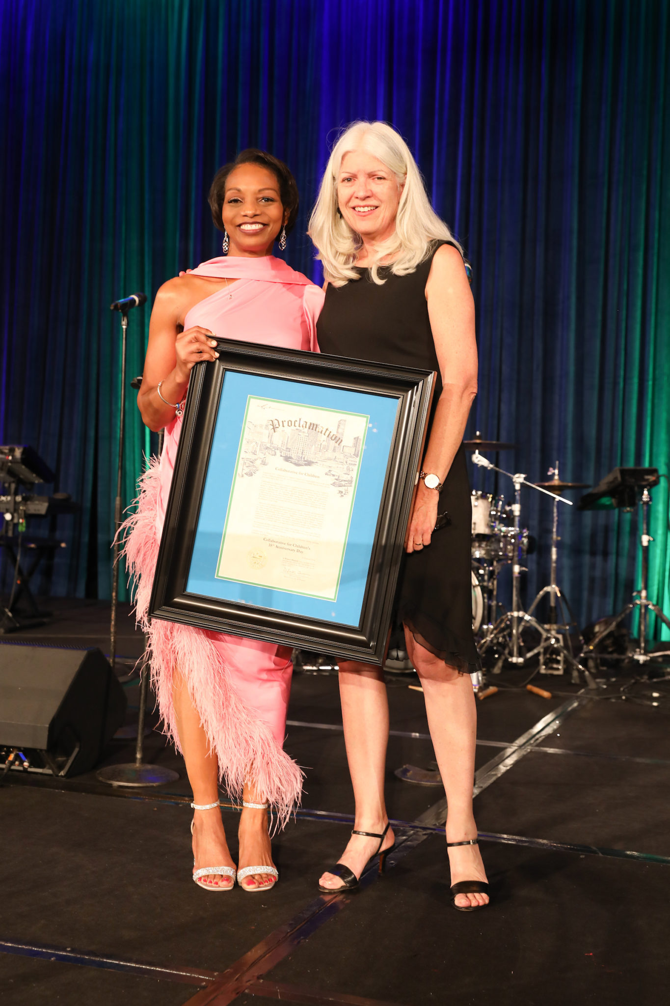 A Night Celebrating Excellence! The Collaborative for Children 35th ...