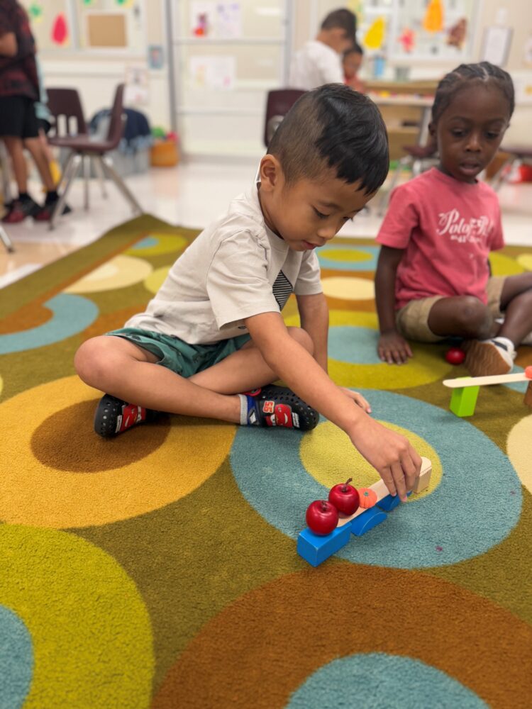 What Kids Learn From Collections and Why It Matters for Early Childhood ...