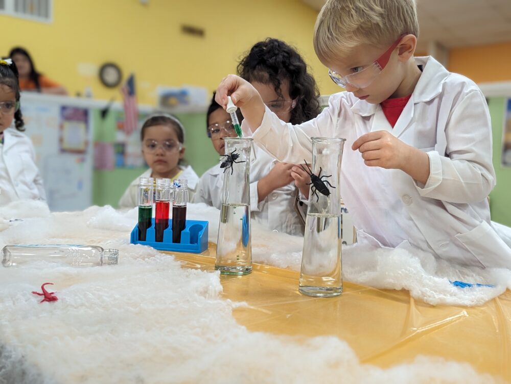 Curriculum Innovation for Early Learning | Collaborative for Children
