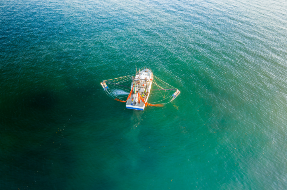 STEAM NEWS: 3D Printers Creating Sustainable Food Alternatives ...