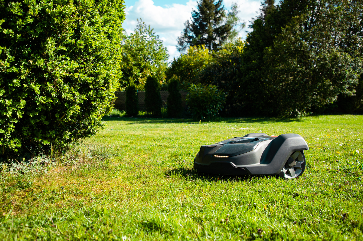 STEAM NEWS: Collab Kids Rejoice! AI Will Soon Mow Your Lawn ...