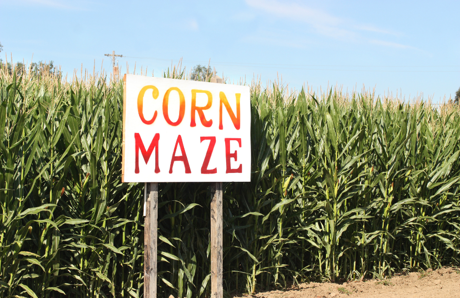 7 Reasons You Need to Take Your Child to a Corn Maze - Collaborative ...
